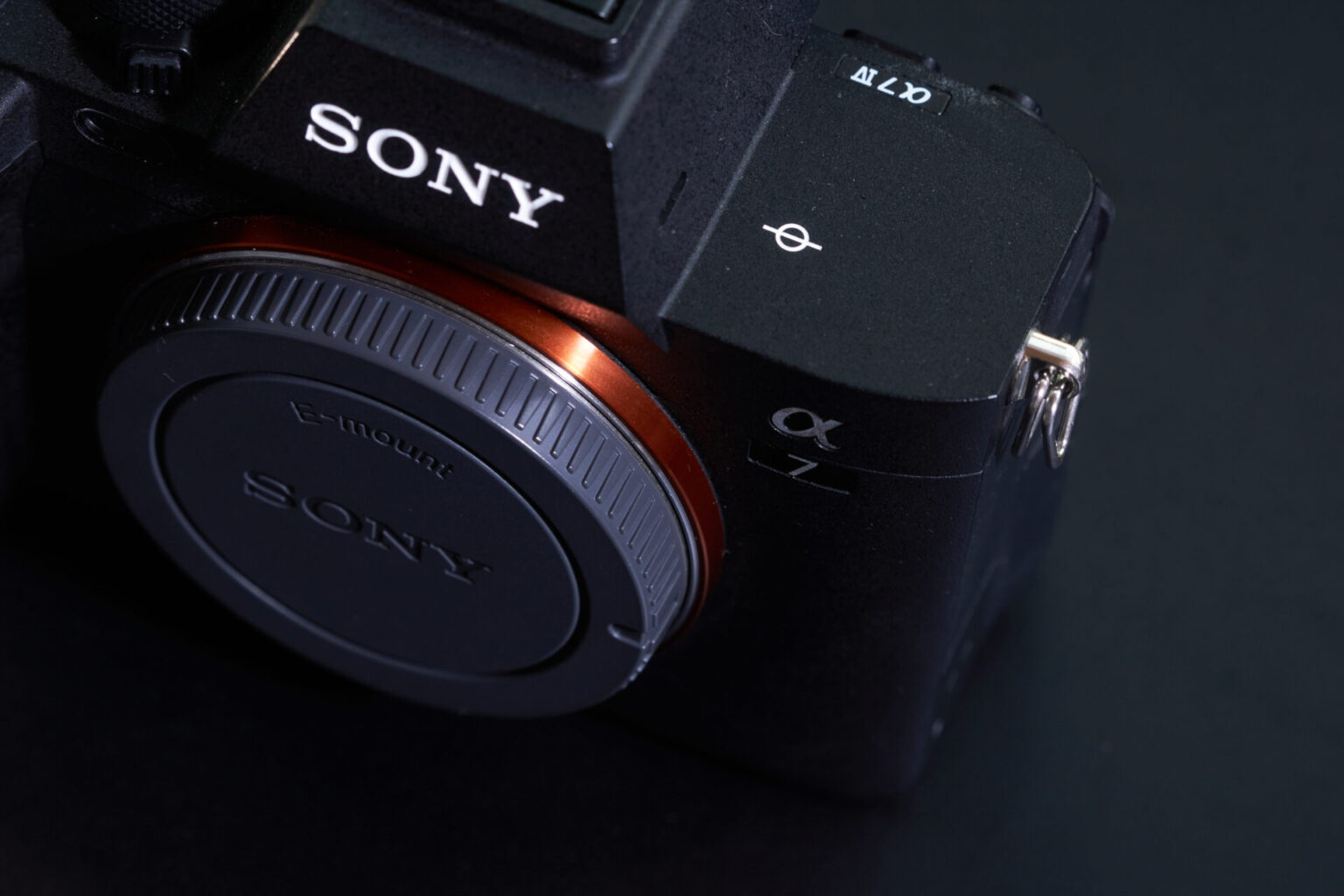 α7VI徹底レビュー│α1のサブ機として購入したα7IVがメイン機になったワケ - しんぴのモノローグ