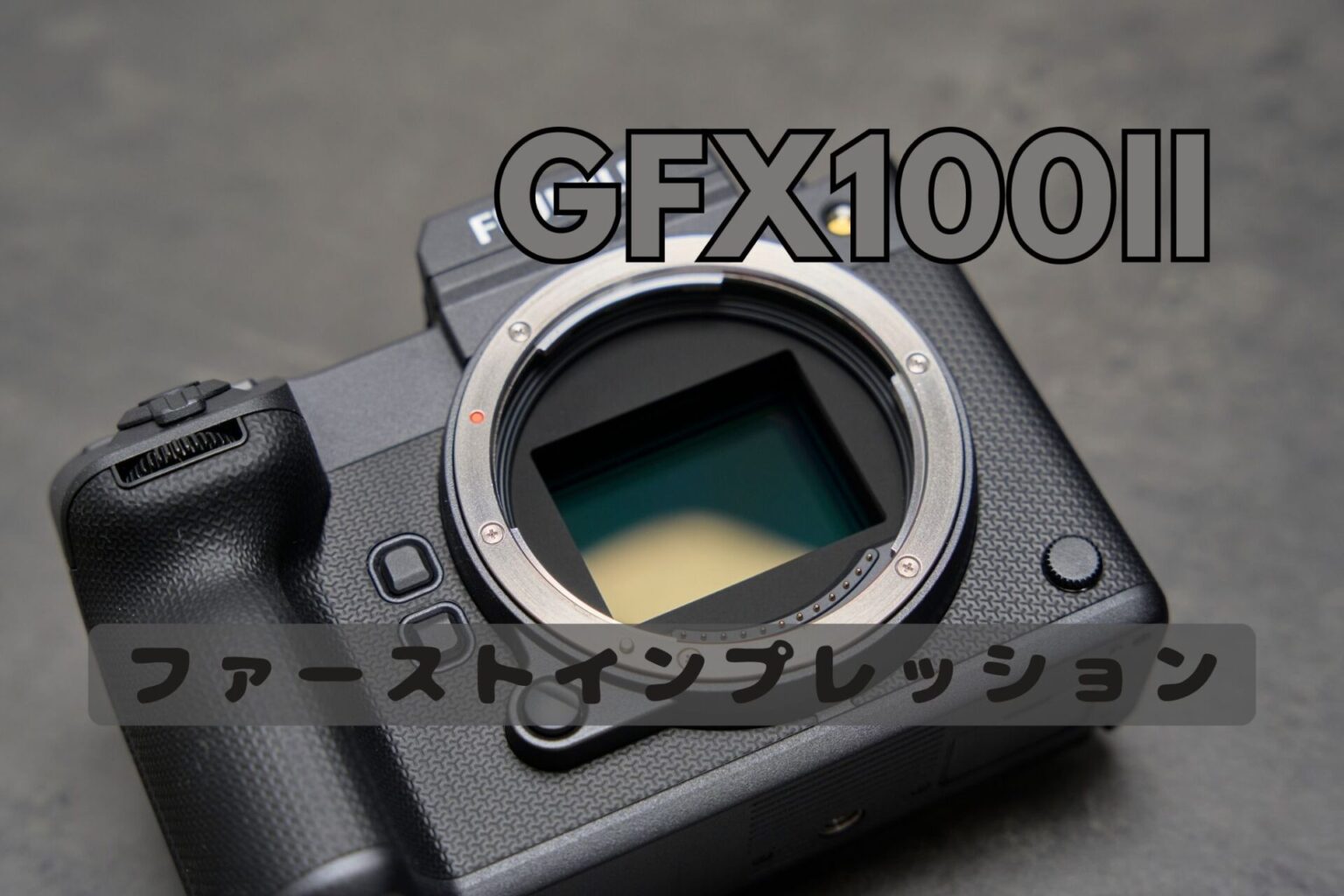 GFX100IIをレビュー│ファーストインプレッションと作例をご紹介 – しんぴのモノローグ